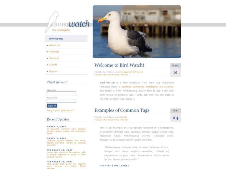 Download Free HTML Template: Bird Watch - Free HTML Templates, Free CSS ...