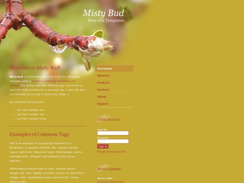Download free HTML/CSS Template: Misty Bud - Free HTML Templates, Free ...
